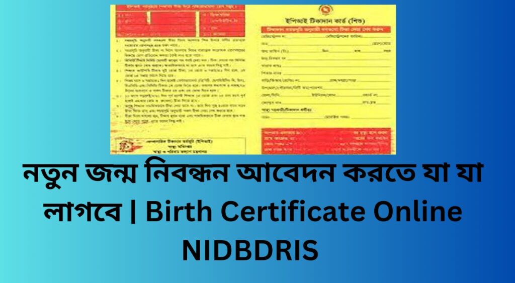 জন্ম নিবন্ধন আবেদনের বর্তমান অবস্থা দেখুন - NIDBDRIS